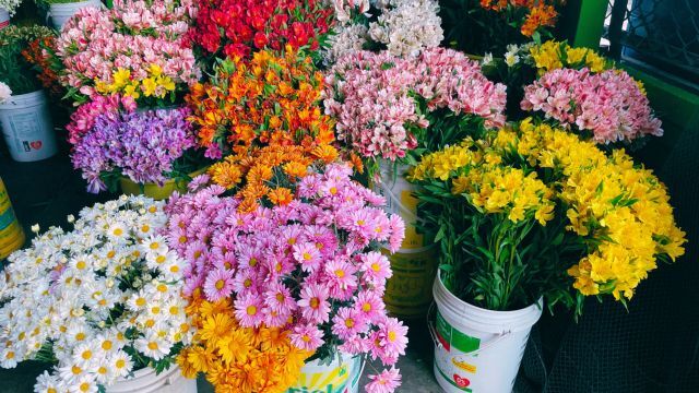 A Complete Tour Of The Lima Flower Market - Doors And Floors